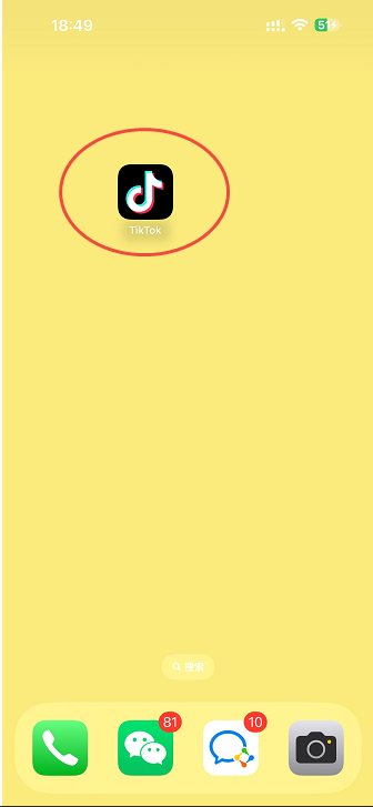TikTok专线 iOS【 下载 】及使用教程-IPIPGO